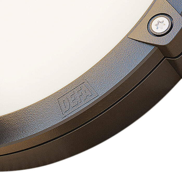 Protect 2.0 • High-end vandal resistant fitting with DC driver • DEFA